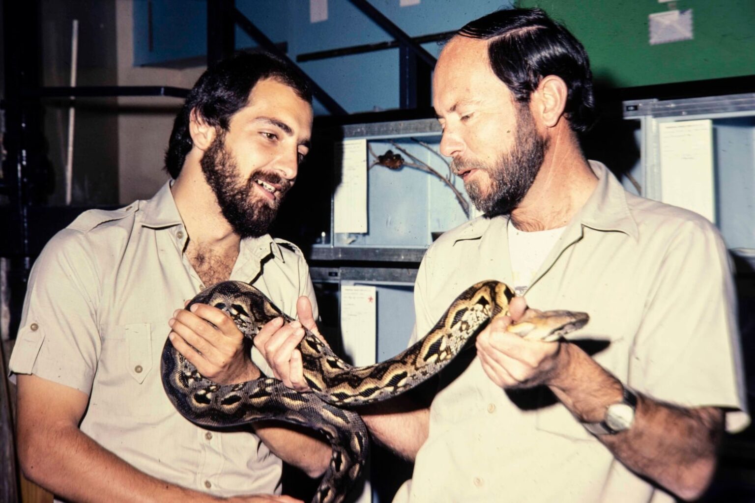 Johan Marais - World of Reptiles